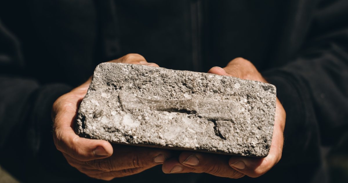 Dinosaur dig returns after Covid-19 hiatus, as world-class dinosaur ...