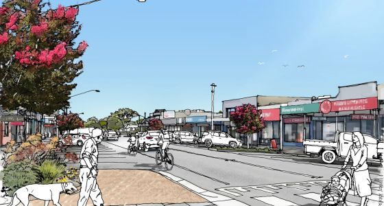 Notice of Upcoming Works - Tree Planting in Graham Street | Bass Coast ...